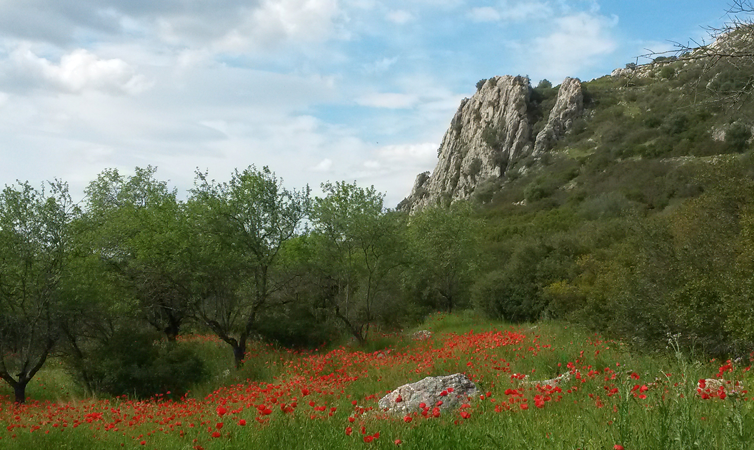 Guía de escalada : Guia de escaladas de Espiel