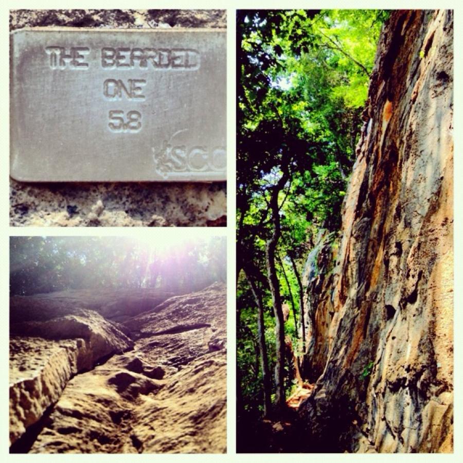 Rock Climbing Area Kings Bluff - info, betas, location...