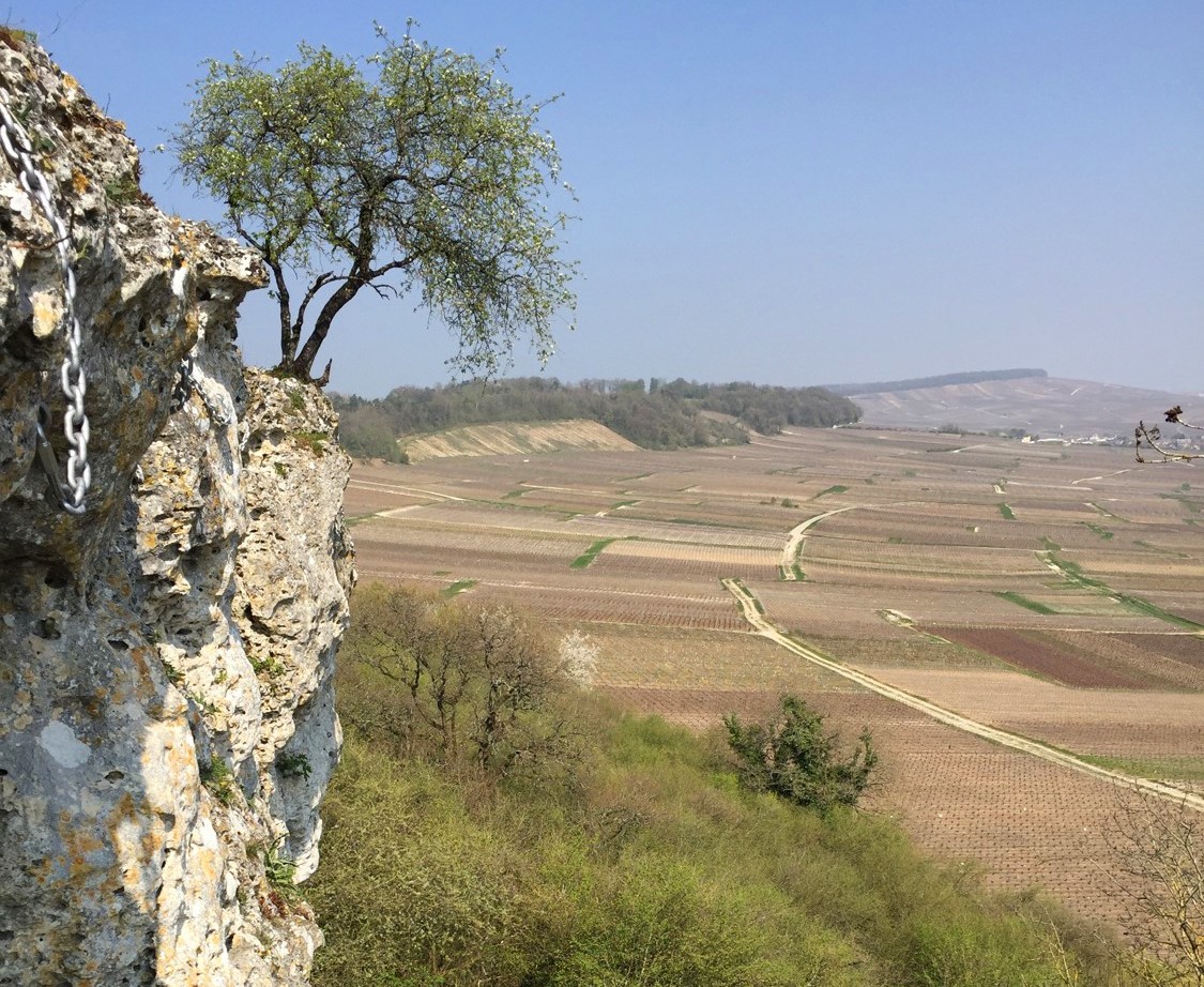 Site d'escalade Les Falloises de Vertus - info, topo, localisation...