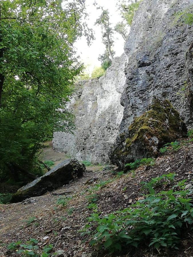 Site d'escalade Les Falloises de Vertus - info, topo, localisation...