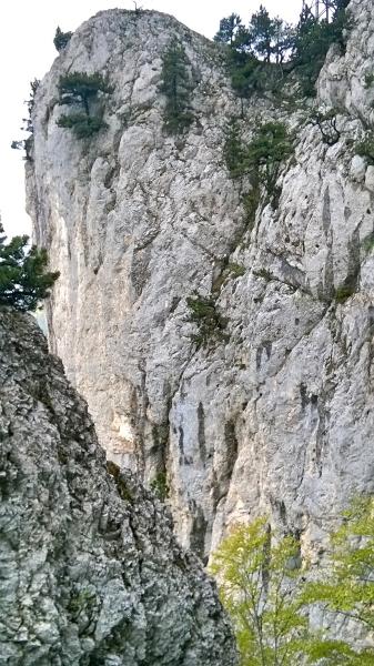 Site d'escalade Rüttelhorn - info, topo, localisation...